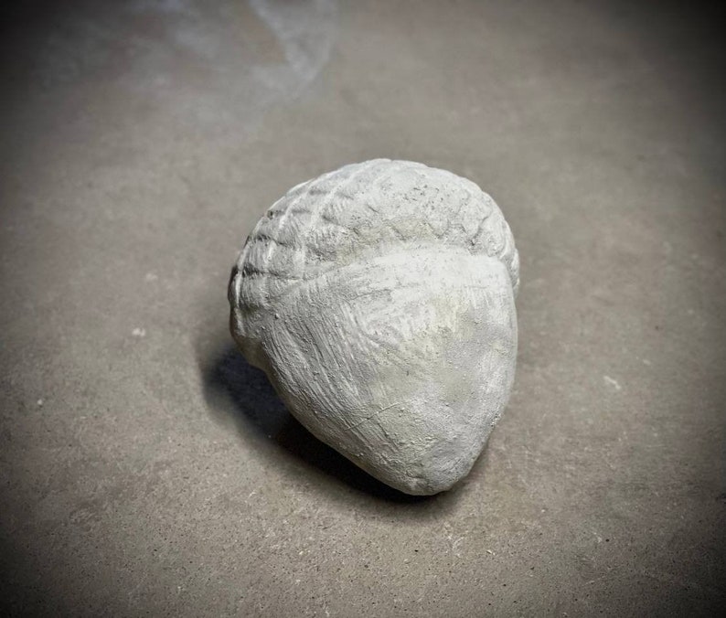 Detailed Acorn Statue Concrete Acorn Figurine Garden Backyard or Patio ...