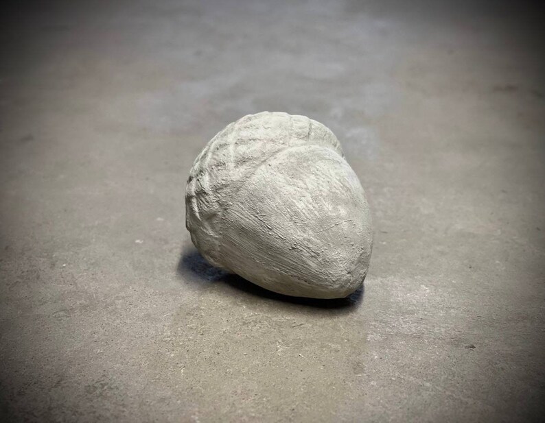 Detailed Acorn Statue Concrete Acorn Figurine Garden Backyard or Patio ...