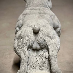 Massive American Bully Dog on Base Statue Concrete Bulldog Memorial ...