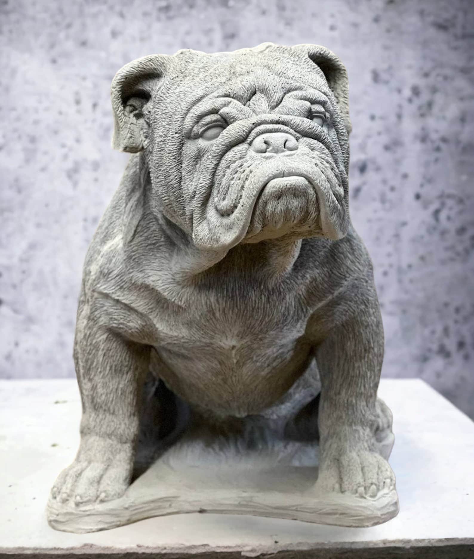 Massive Bulldog Statue Concrete Bulldog Memorial Sculpture - Etsy