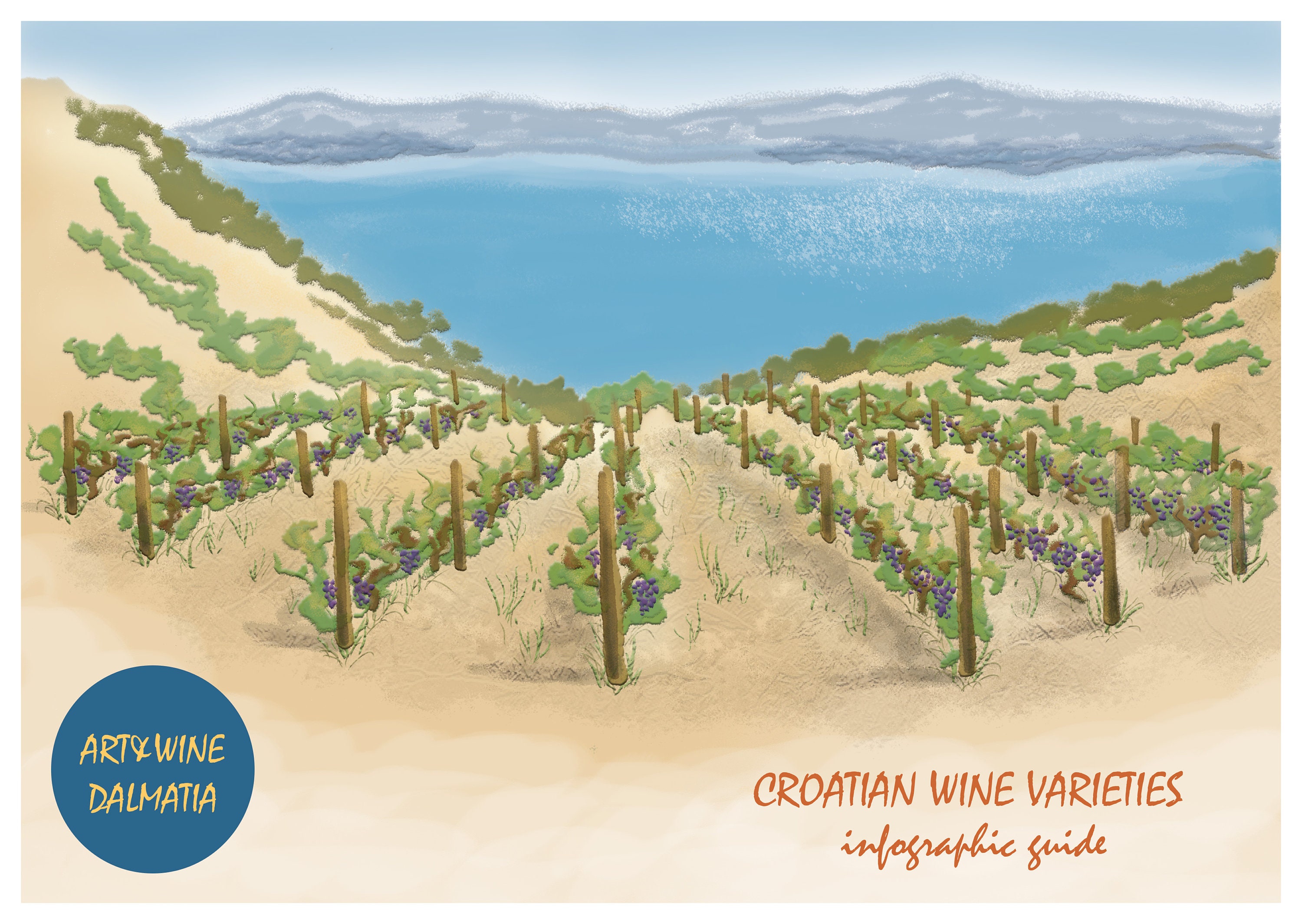 Croatina Wine Varieties | Printable | Wine Tasting Guide | Wine Artwork ...