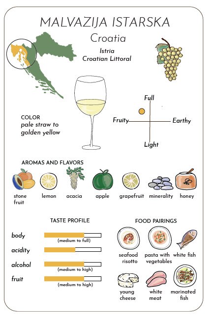 Croatina Wine Varieties Printable Wine Tasting Guide Wine Artwork ...