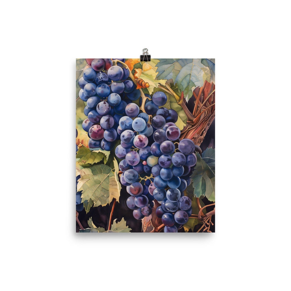 Grape Vine Bloom Watercolor Poster Realistic Art Wall Art Fruite Poster ...