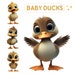Baby Ducks Png, Duck Clipart, Duck Png, Sublimation Designs, Printable ...