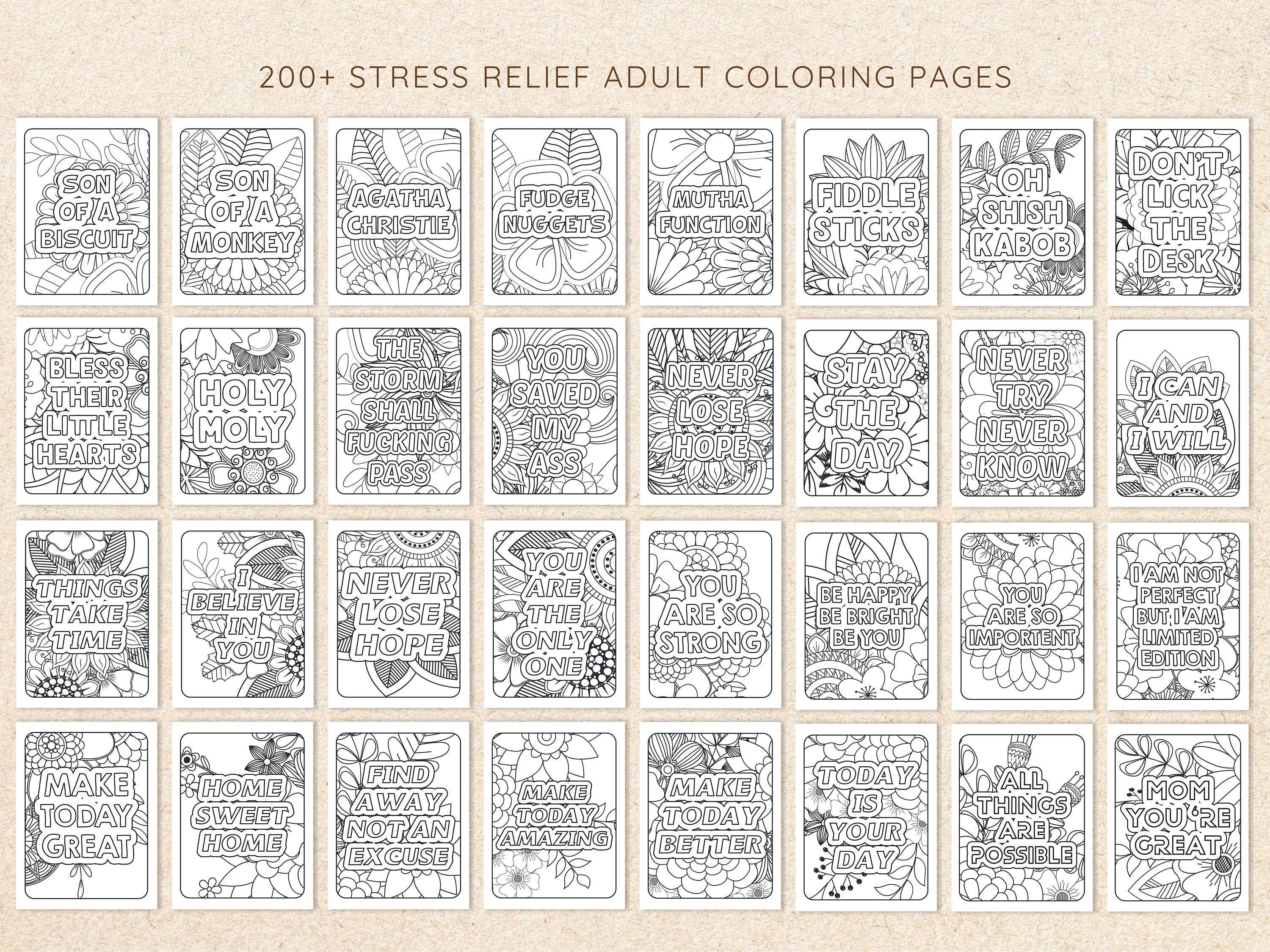 Printable Inspirational Quotes Coloring Book: Stress Relief ...