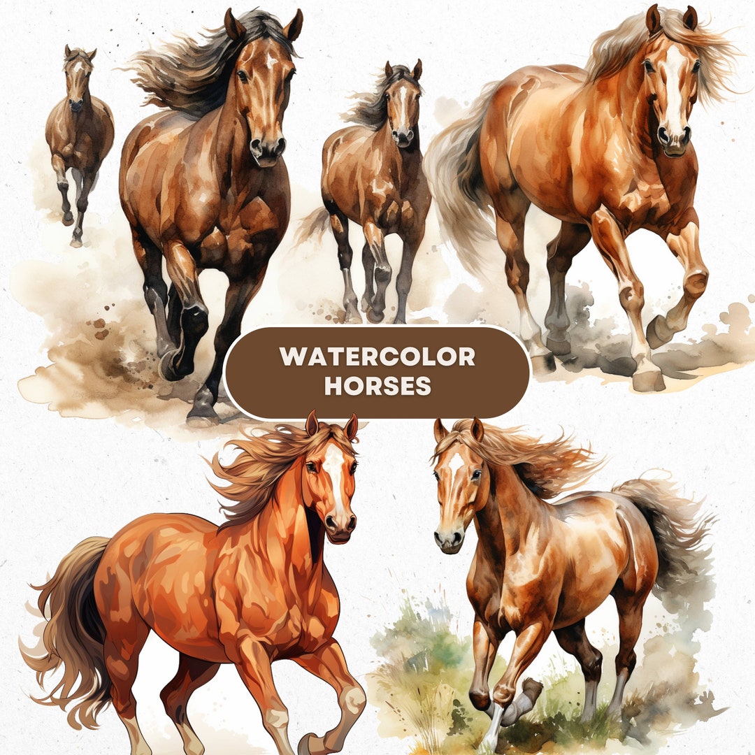 Watercolor Horse Clipart Bundle, Watercolor Horse Clipart, Horse ...