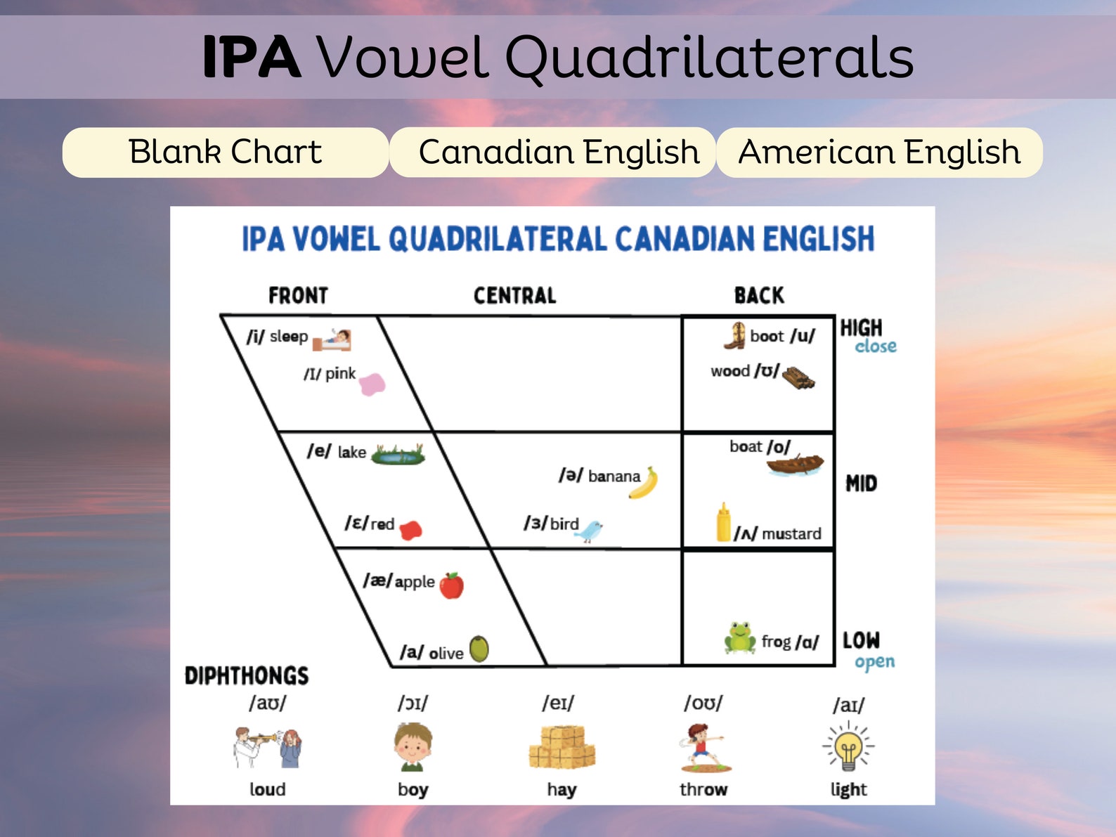 Vowel Quadrilateral | IPA | Speech Pathology - Etsy