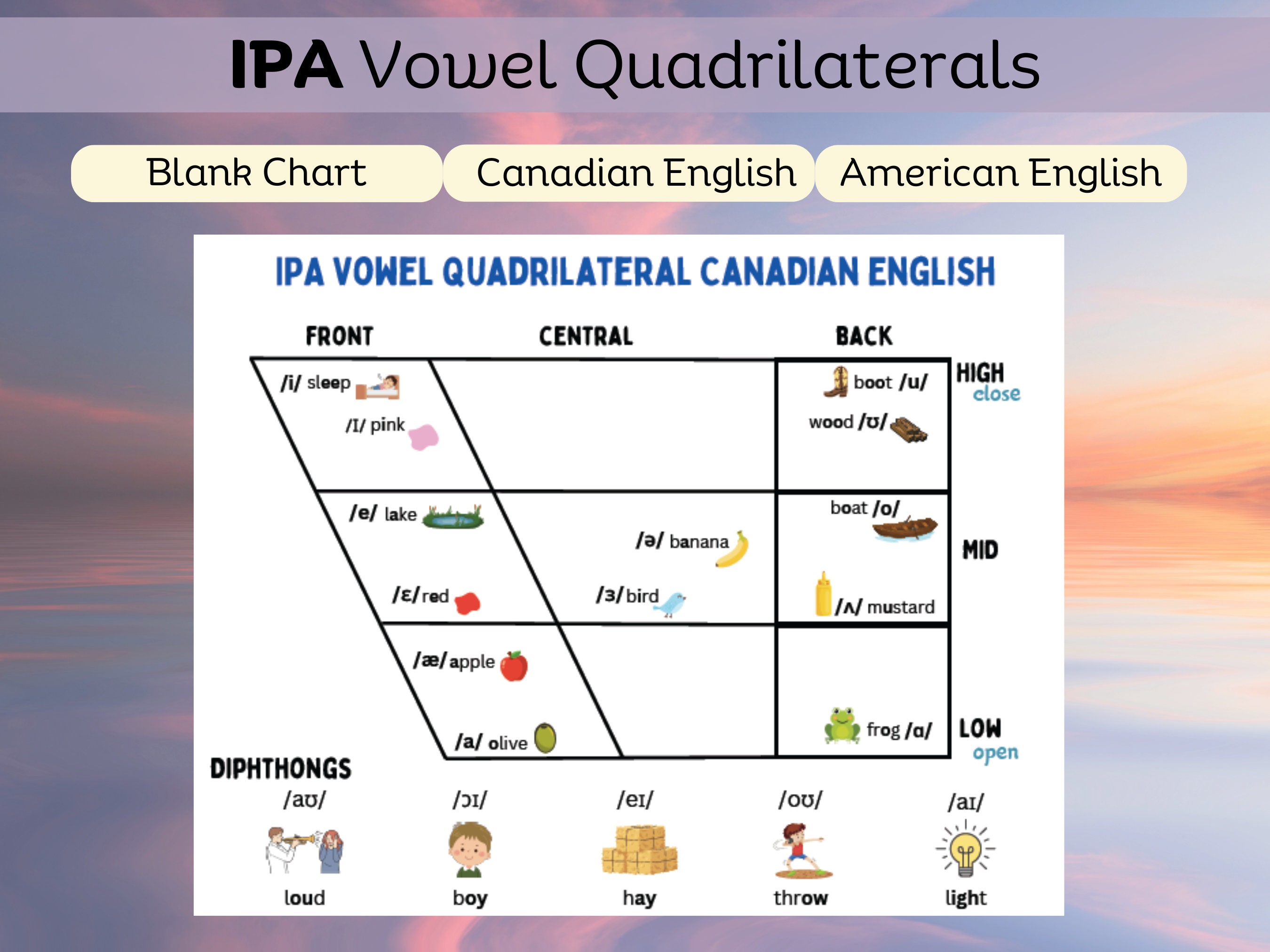 Vowel Quadrilateral | IPA | Speech Pathology - Etsy