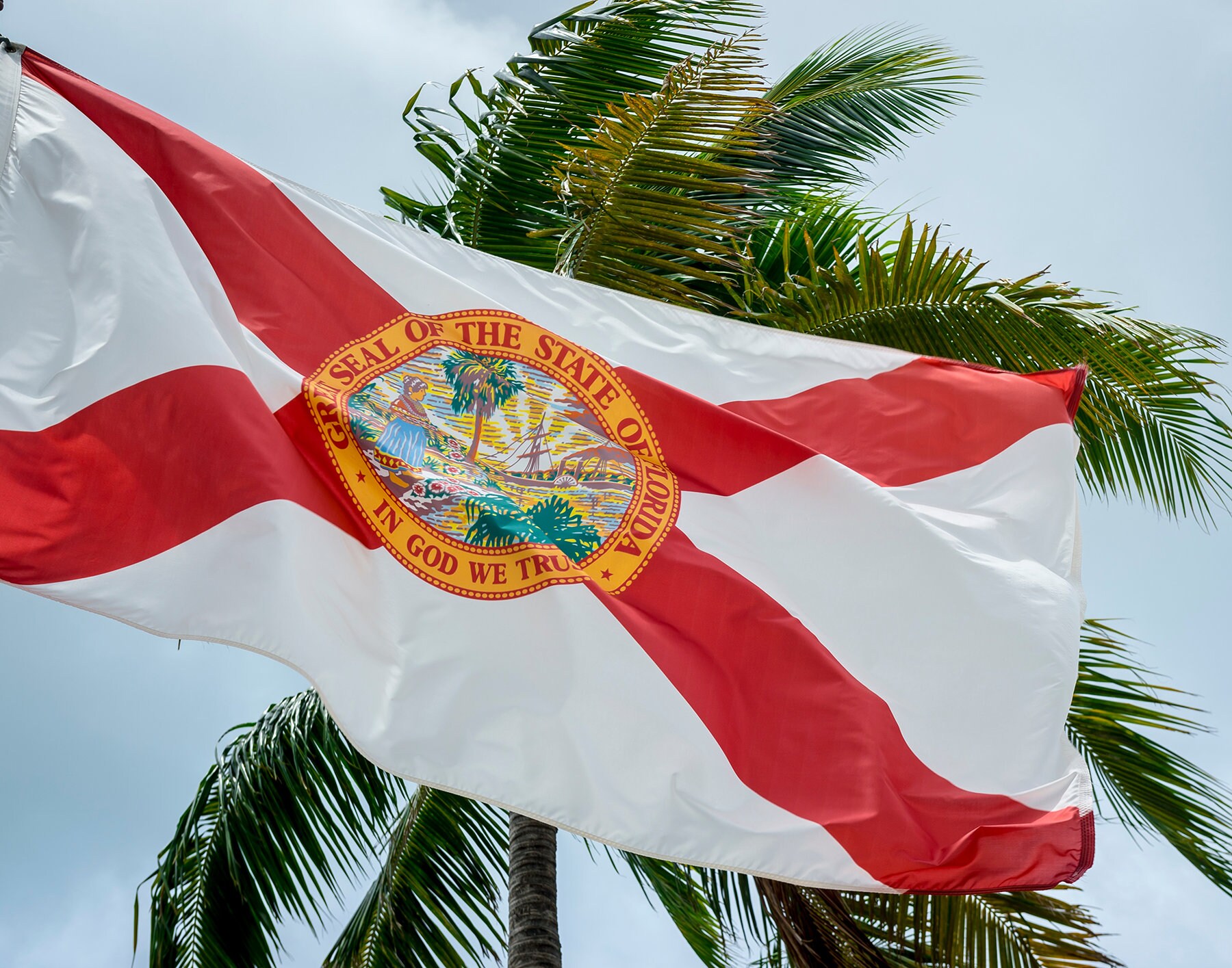 VEEFLEX - Florida State 3x5 Ft Embroidered Flag, Double Sided Heavy ...