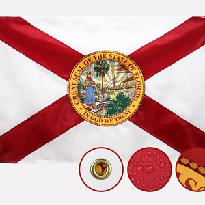 VEEFLEX - Florida State 3x5 Ft Embroidered Flag, Double Sided Heavy ...