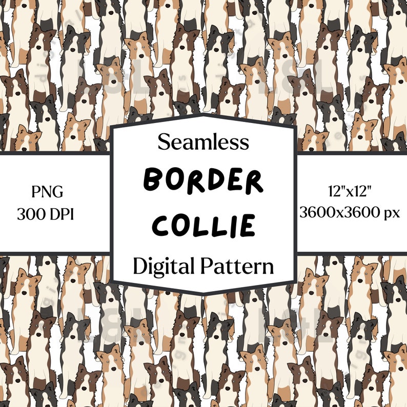 Seamless Dog Digital Pattern, Border Collie Pattern, Digital Paper ...