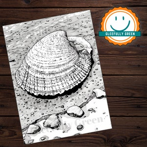 20 Pretty Seashells Coloring Page Printable for Adults and Kids Digital ...