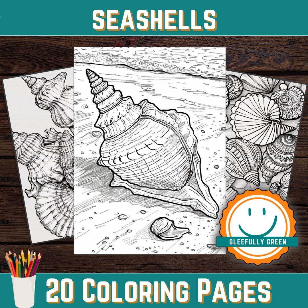 20 Pretty Seashells Coloring Page Printable for Adults and Kids Digital ...