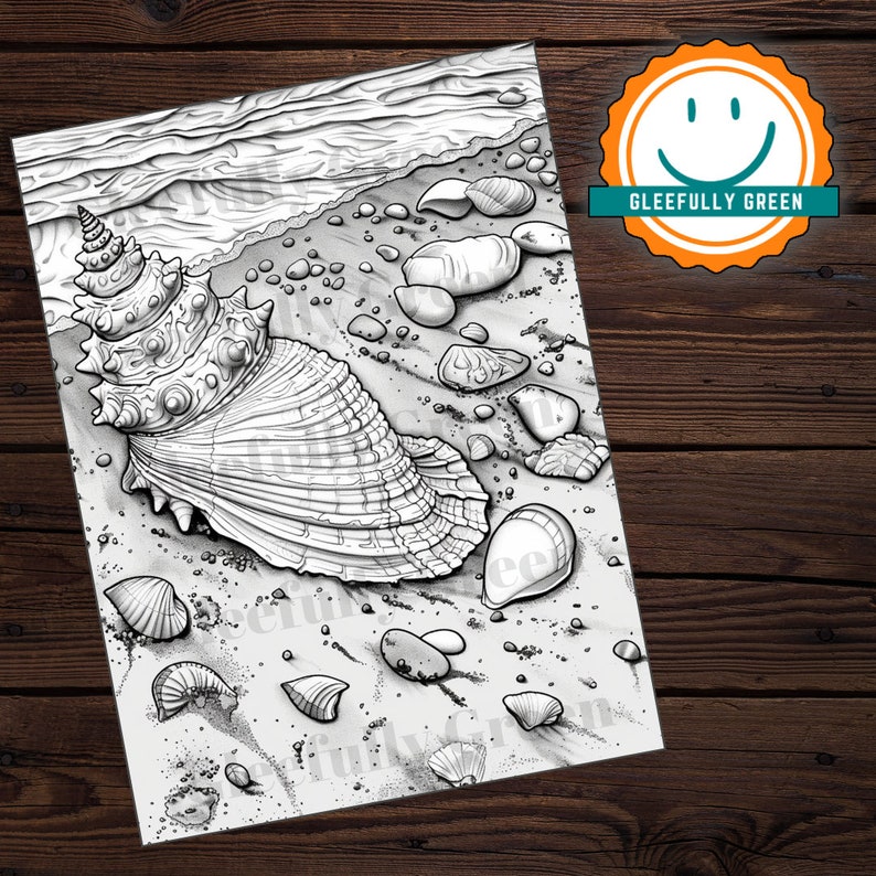 20 Pretty Seashells Coloring Page Printable for Adults and Kids Digital ...