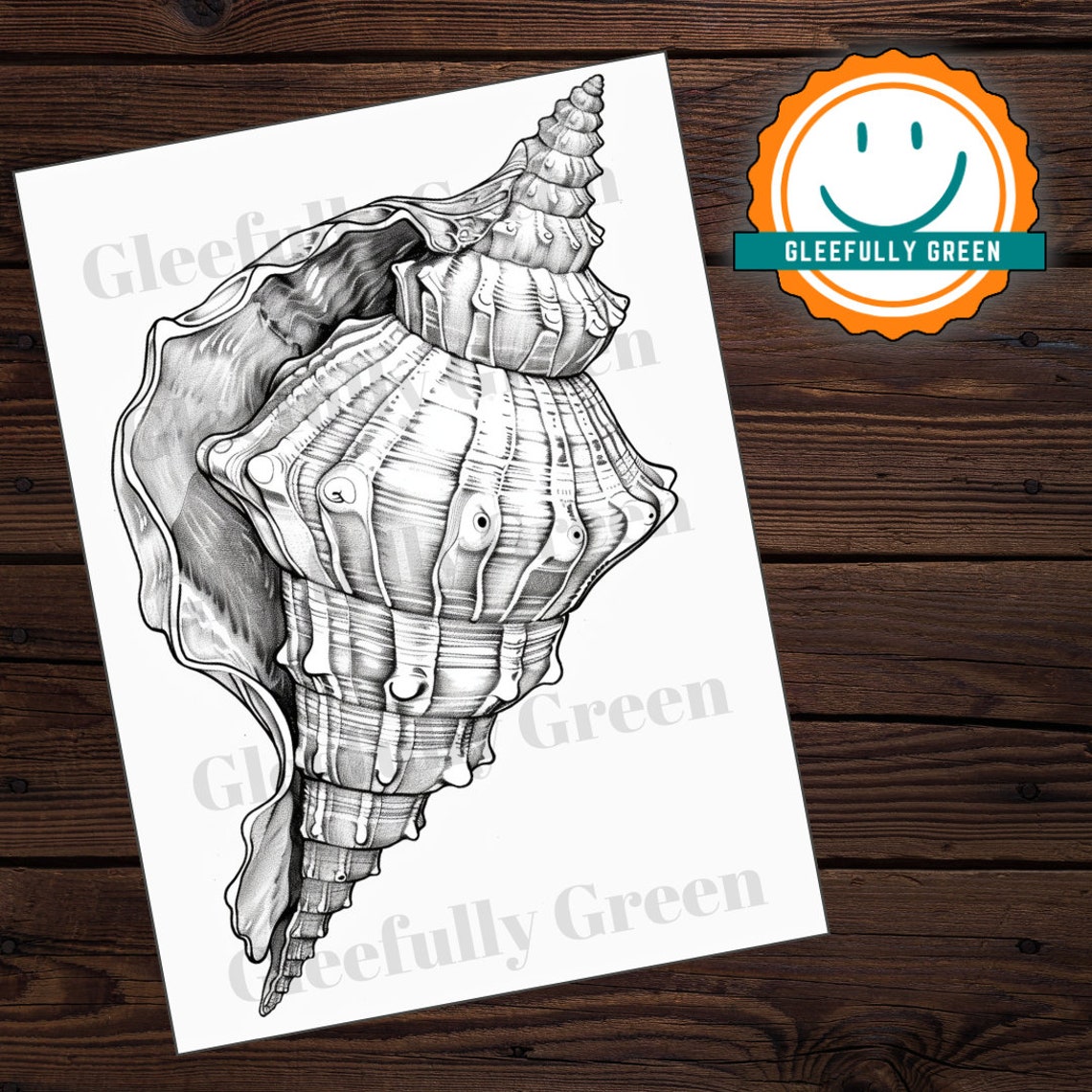 20 Pretty Seashells Coloring Page Printable for Adults and Kids Digital ...