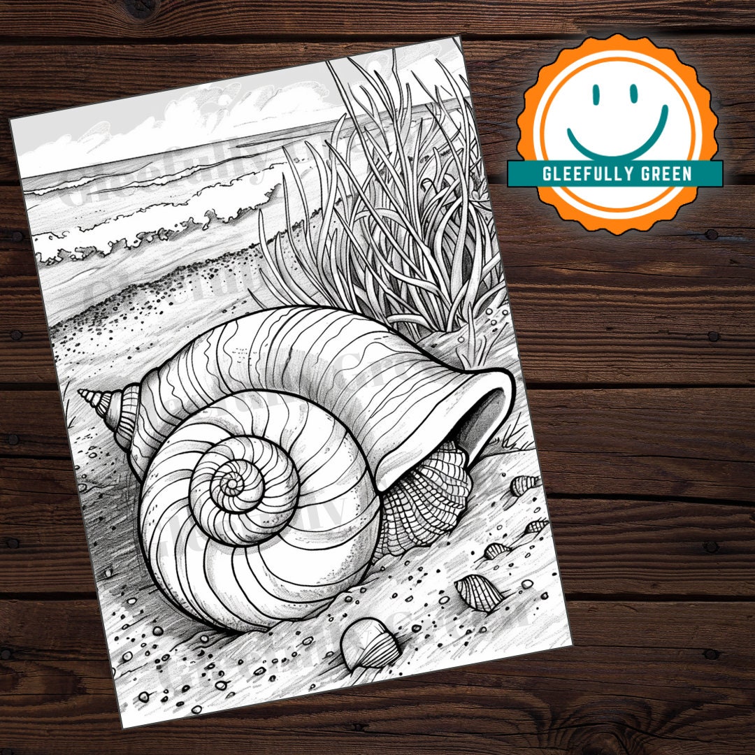 20 Pretty Seashells Coloring Page Printable for Adults and Kids Digital ...