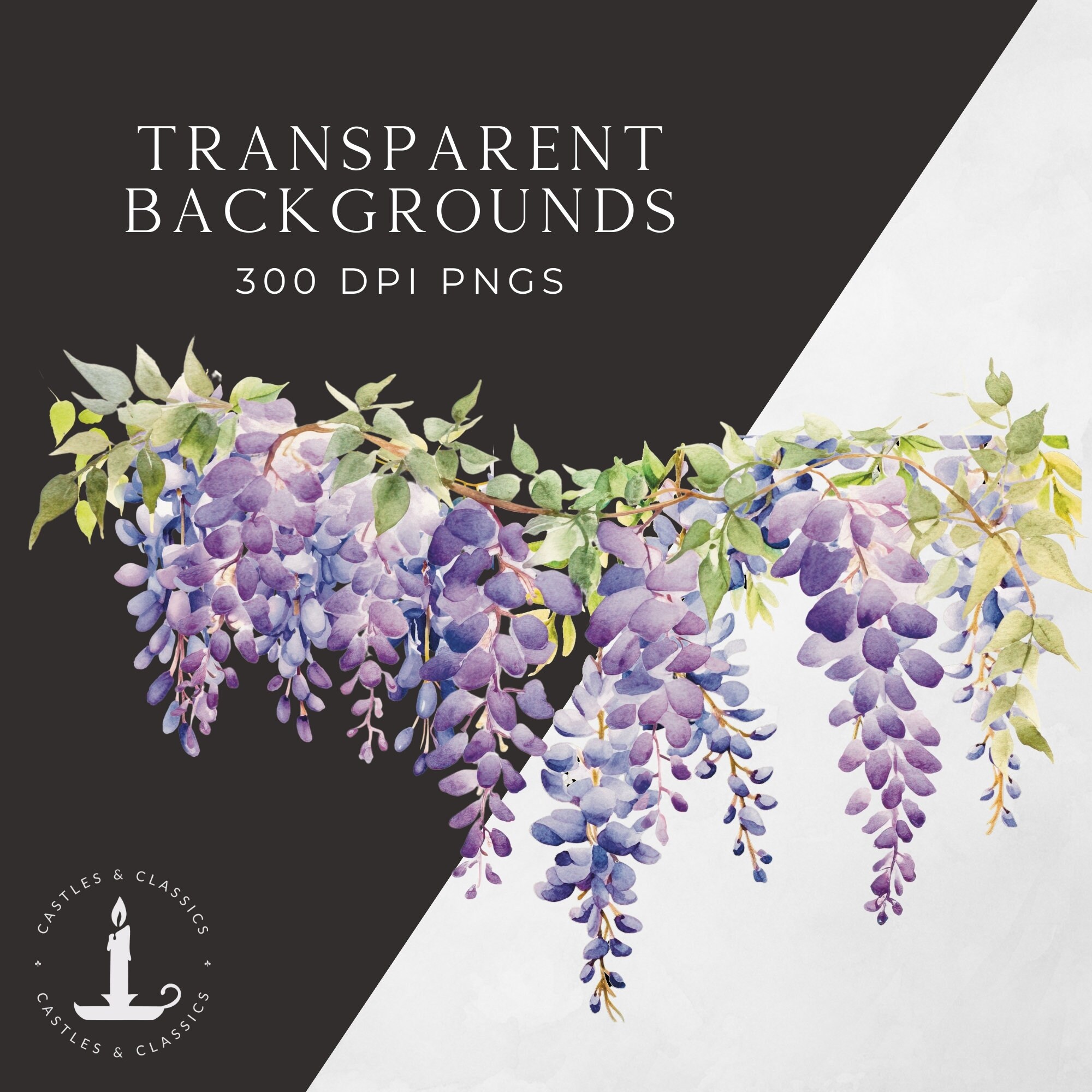 Regency Wisteria Clipart Watercolor PNG Transparent Floral PNG Flowers ...