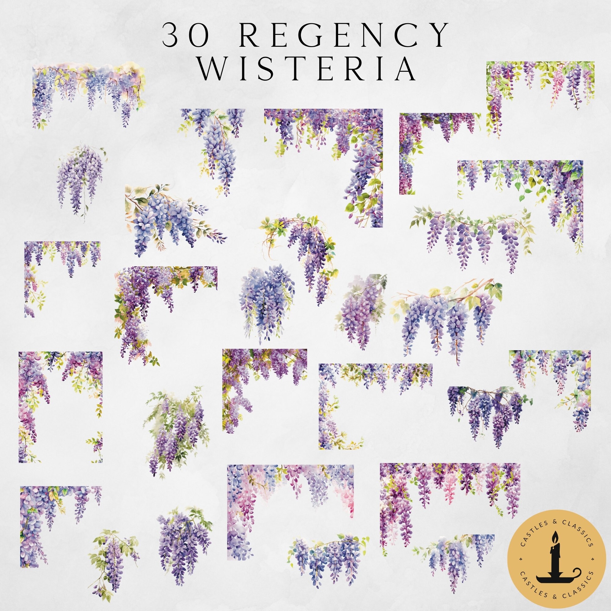 Regency Wisteria Clipart Watercolor PNG Transparent Floral PNG Flowers ...