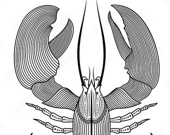 Lobster Bundle SVG. Crustacean Outline Stencil, Clip Art. Detailed Crab ...