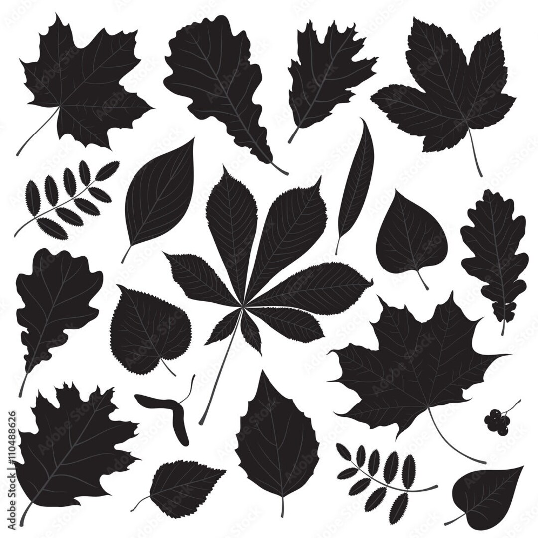 Leaves Bundle SVG. Botanical Leaf Silhouette Stencil Decal. Tree Leaves ...