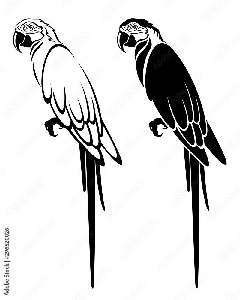 Parrot Ara Macaw Bundle SVG. Bird Outline, Silhouette Stencil Clip Art ...