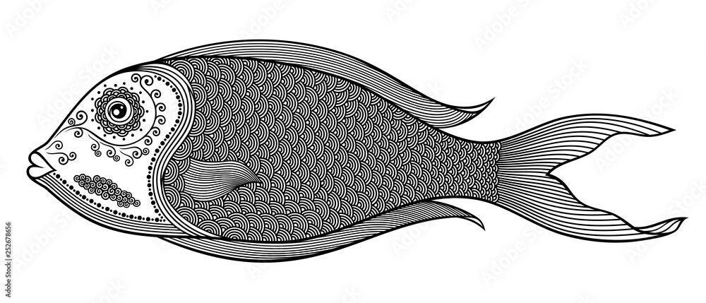 Decorative Fish SVG. Fronted Fish Silhouette, Template, Sample. Outline ...