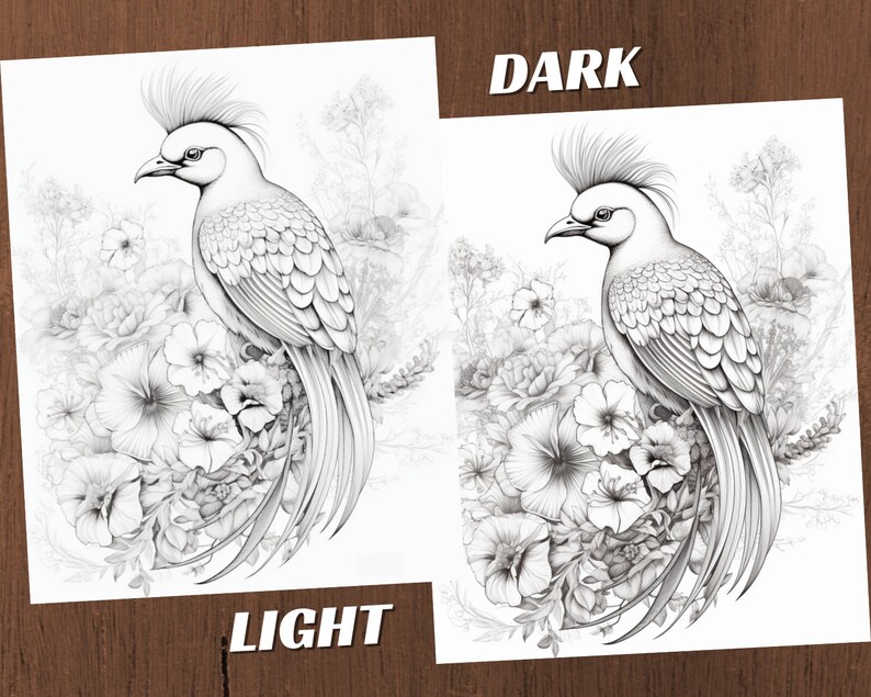 24 Printable Birds Grayscale Coloring Pages for Kids Adults Birds ...