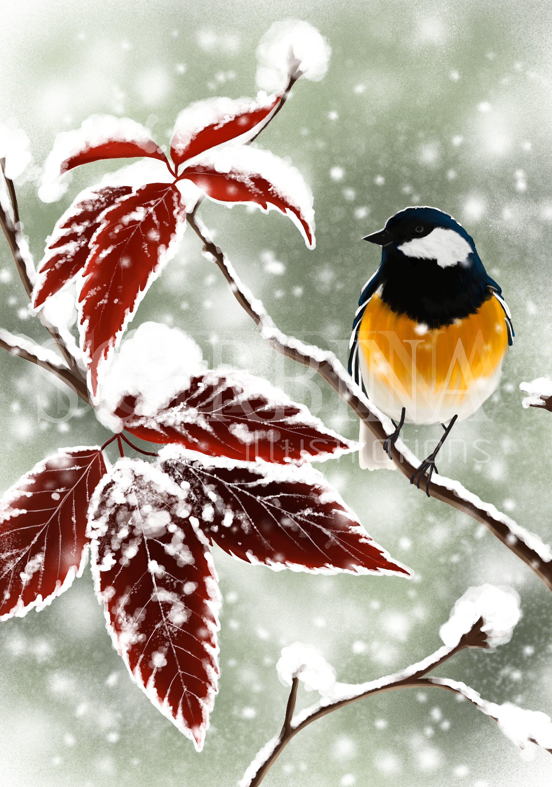 Bird, Bird Clipart, Winter, Animal Clipart, Watercolor, Botanical ...