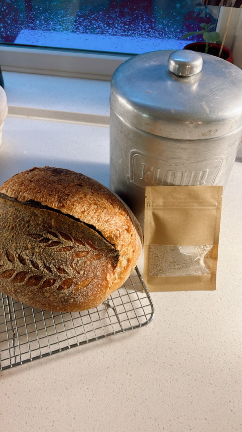 Freya Sourdough Starter - Etsy