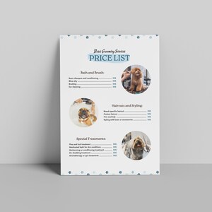 9 Dog Grooming Flyer Templates, Pet Business Flyer Template, Dog ...