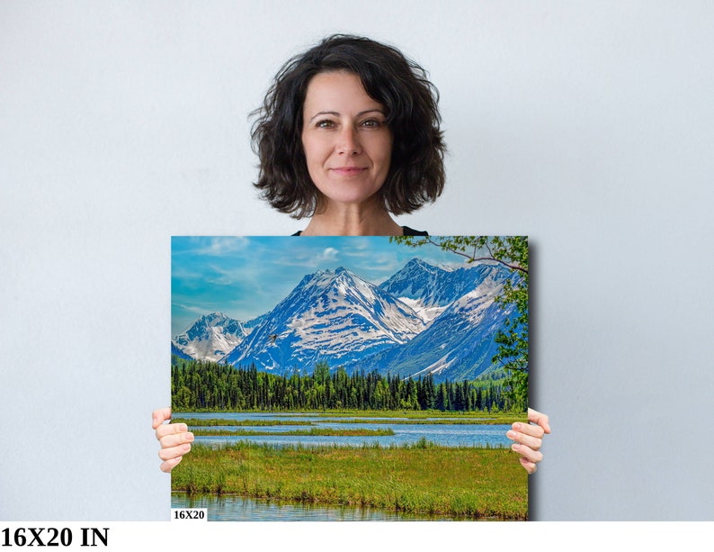 Alaska Lake Wall Art Tern Lake Photo Print Alaska Wall Decor Work From ...