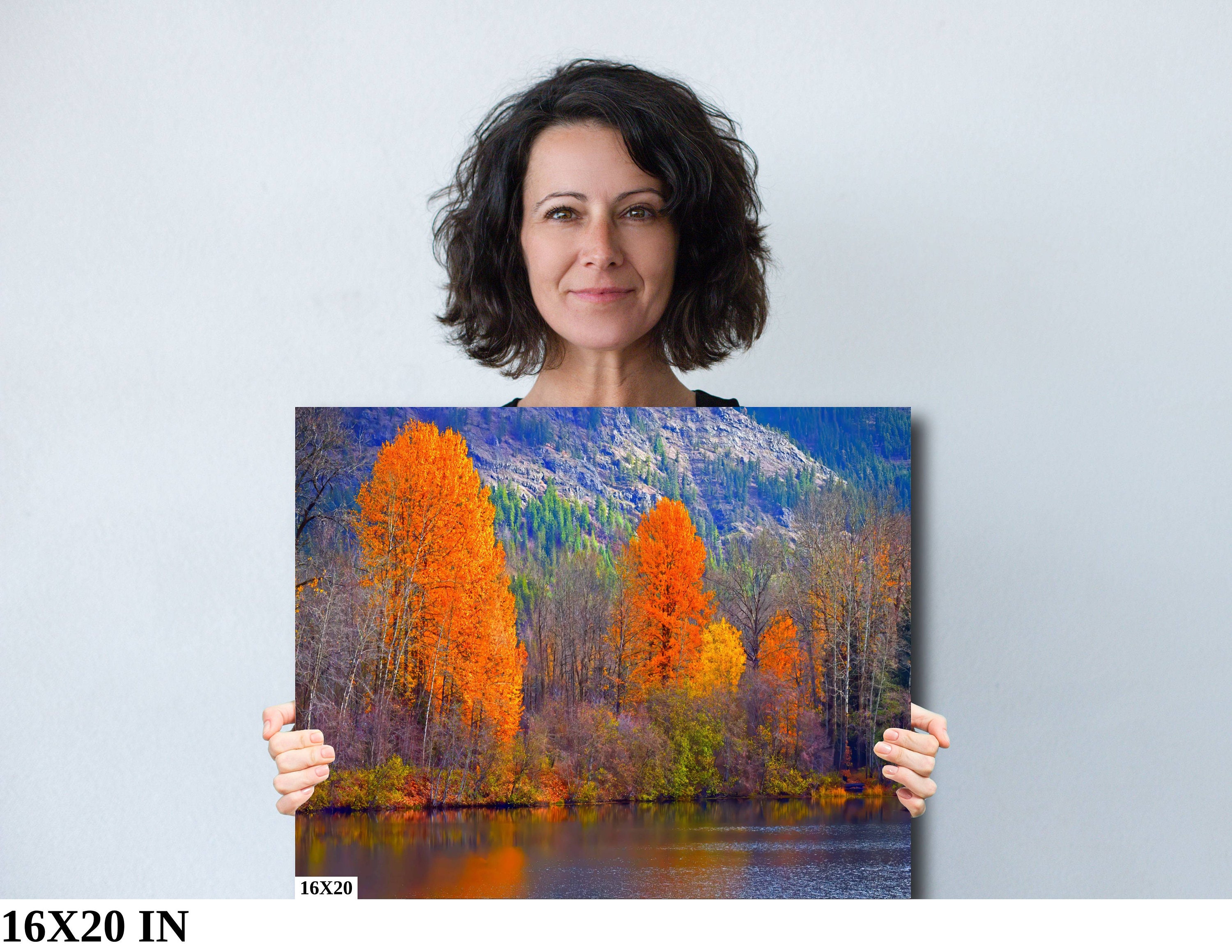 Fall Foliage Wall Art Nature Inspired Forest Scene Fall Color Etsy