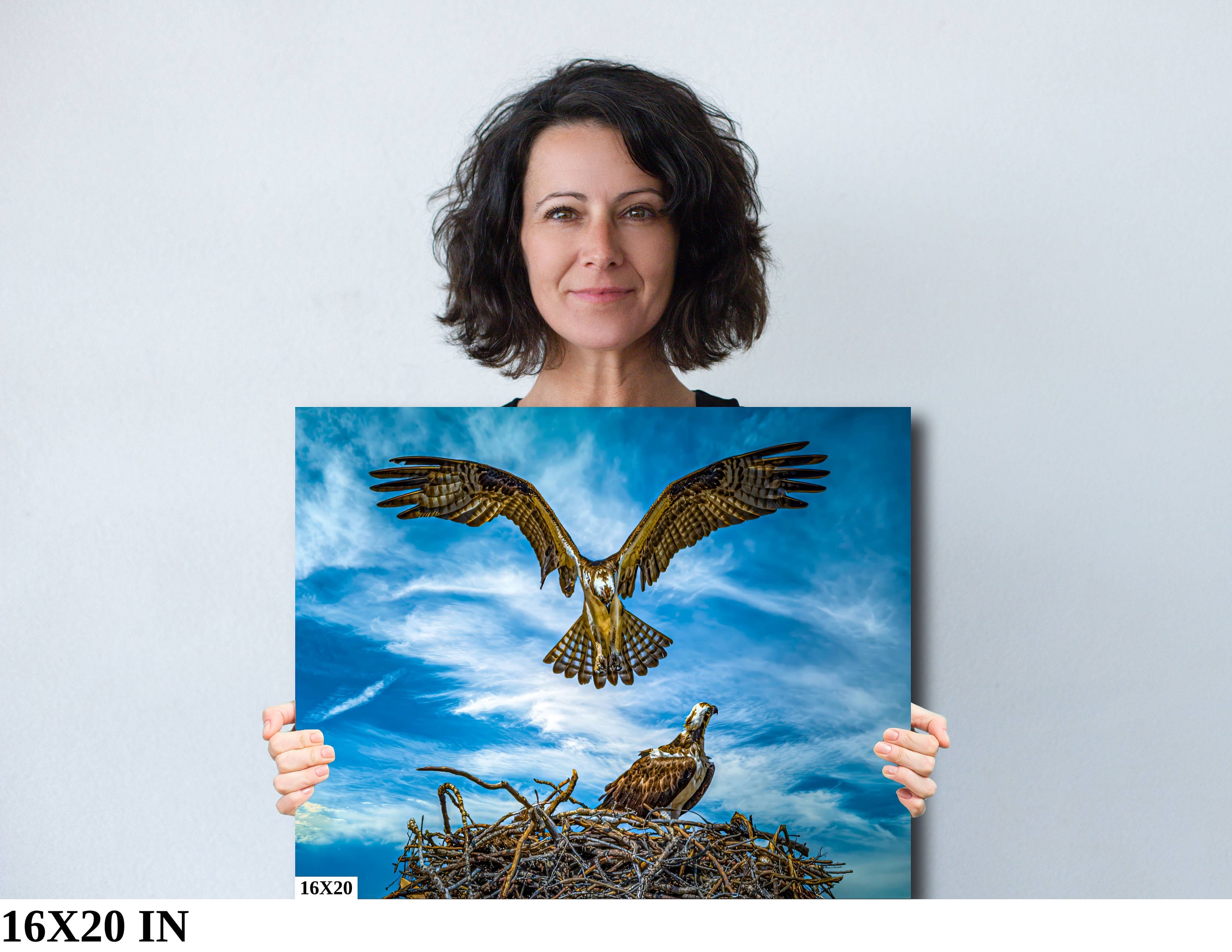 Osprey Print Wall Art Home Office Wall Decor Man Cave Osprey Canvas ...