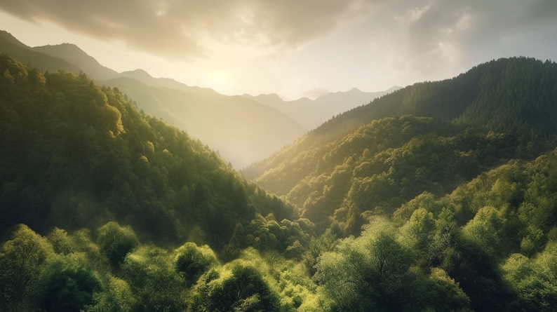 Forest Background and Scenic Zoom/teams Background Scenic Mountain View ...