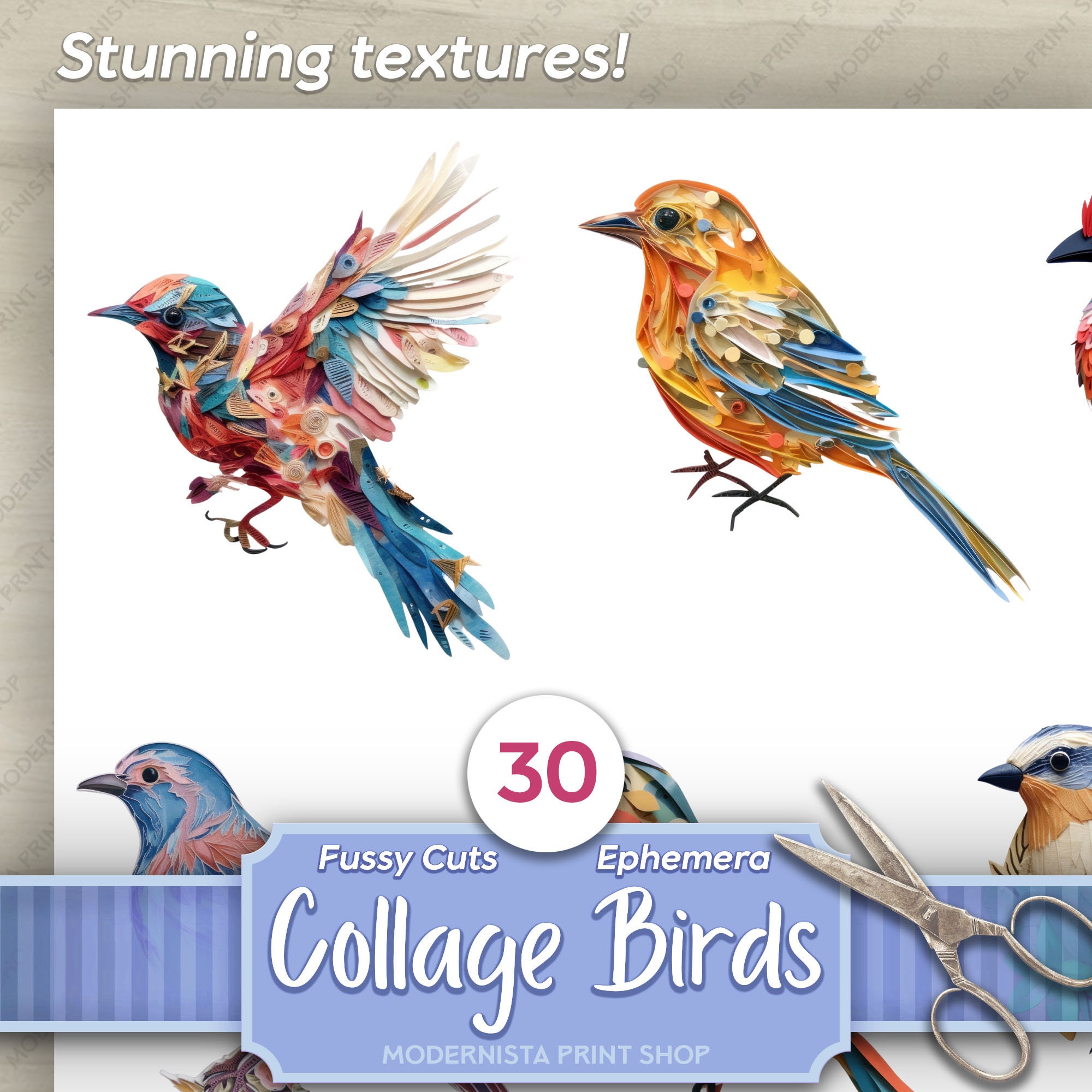 30 Collage Birds Fussy Cuts Ephemera Kit | Floral Journaling | Fussy ...