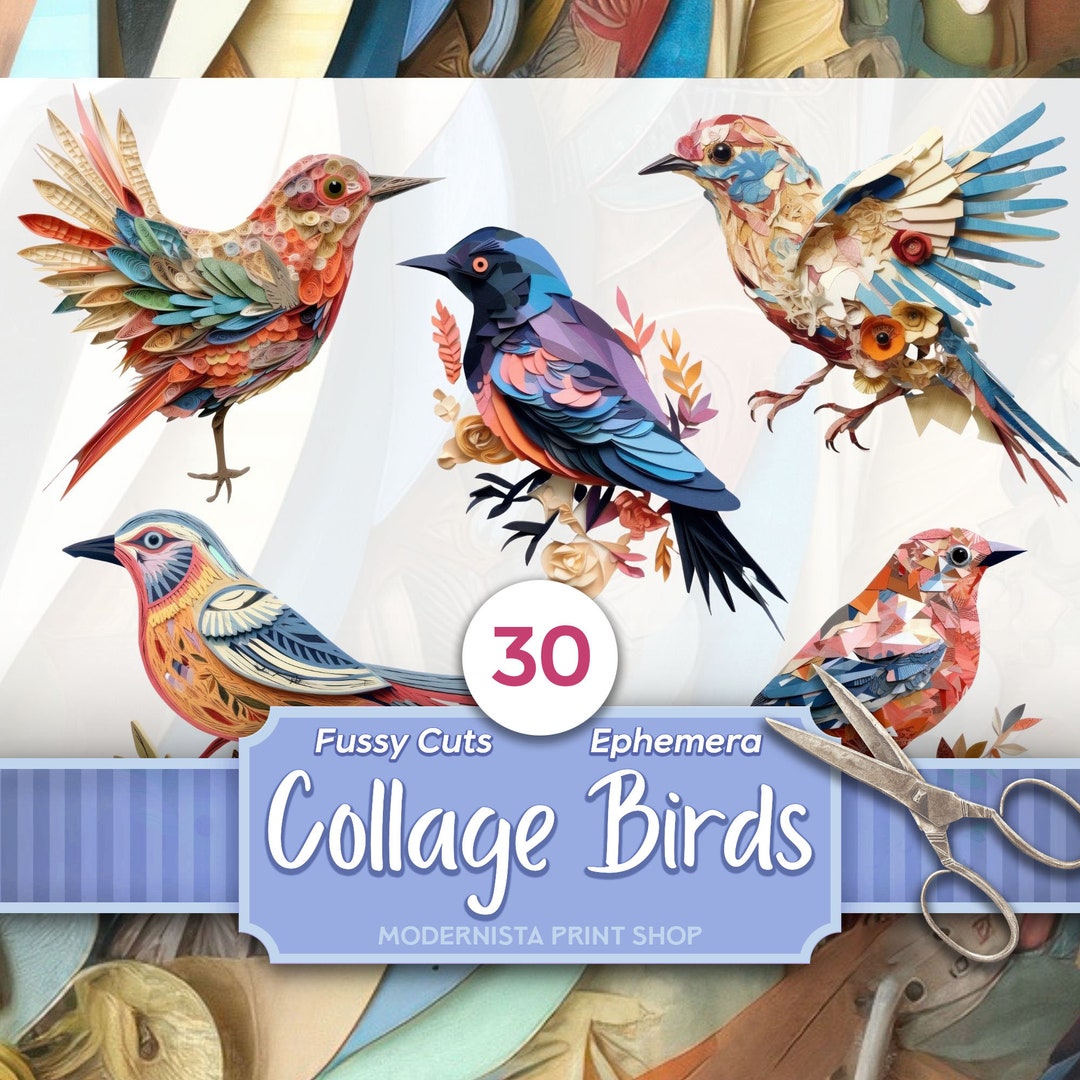 30 Collage Birds Fussy Cuts Ephemera Kit | Floral Journaling | Fussy ...