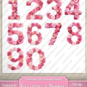 Alphabet and Numbers Transparent Pngs Roses, Floral Letters Clipart ...