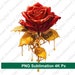 Dripping Rose Png Sublimation Rose Png Colorful Png Fantasy - Etsy