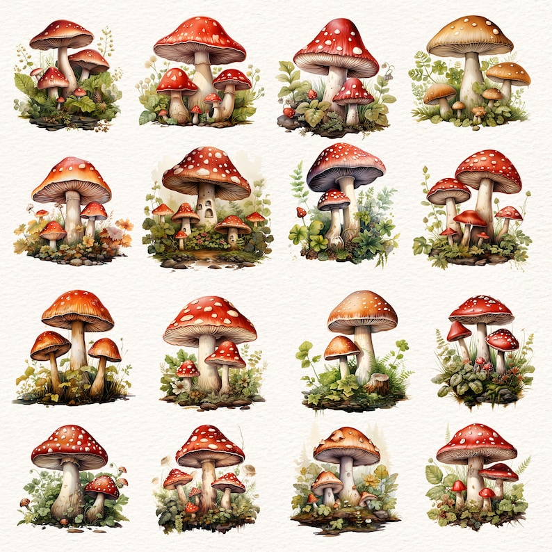 Fairy Toadstool Watercolor Clipart: Magic Mushroom, Forest Clipart ...