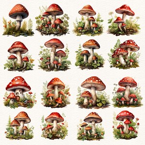 Fairy Toadstool Watercolor Clipart: Magic Mushroom, Forest Clipart ...