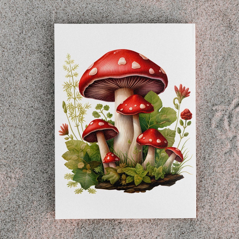 Fairy Toadstool Watercolor Clipart: Magic Mushroom, Forest Clipart ...