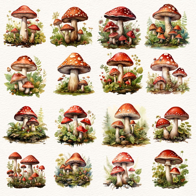 Fairy Toadstool Watercolor Clipart: Magic Mushroom, Forest Clipart ...