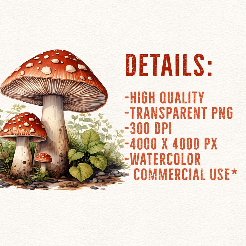 Fairy Toadstool Watercolor Clipart: Magic Mushroom, Forest Clipart ...
