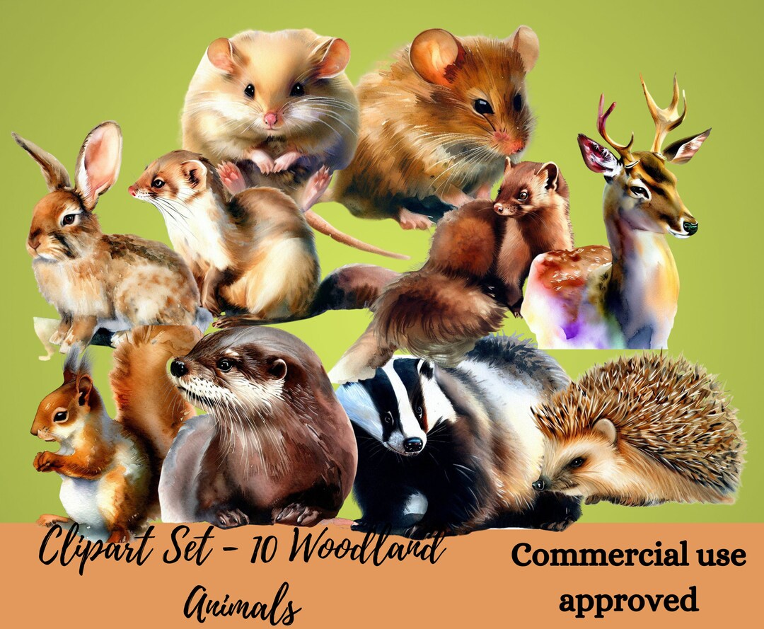 Commercial Use OK Clipart of Woodland Animals, Print on Demand Approved ...