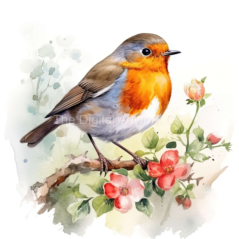 12 High Quality Designs of Watercolour Robins Art 12 Jpgs Print ...