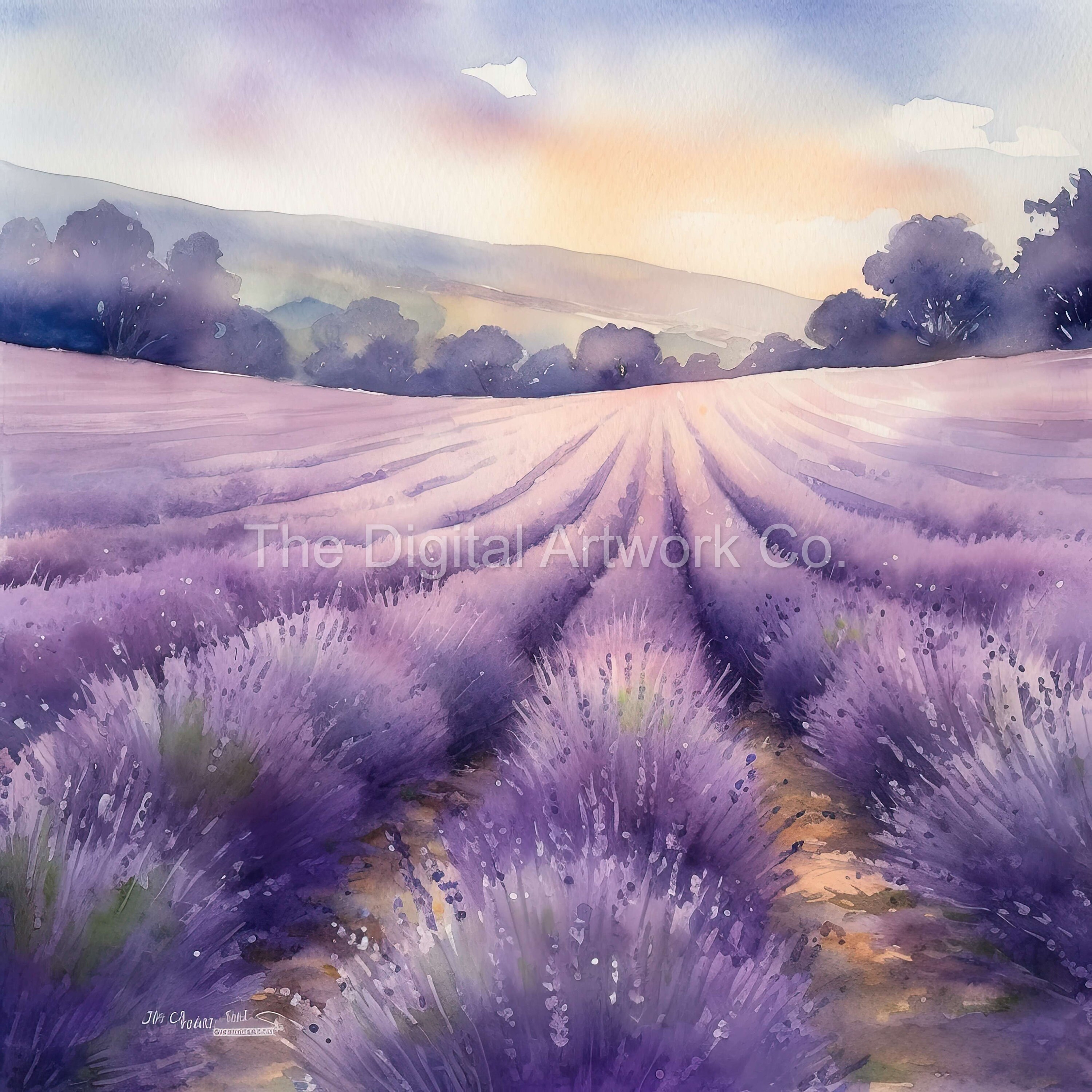 12 Lavender Meadows Backgrounds High Quality Jpgs Digital - Etsy UK
