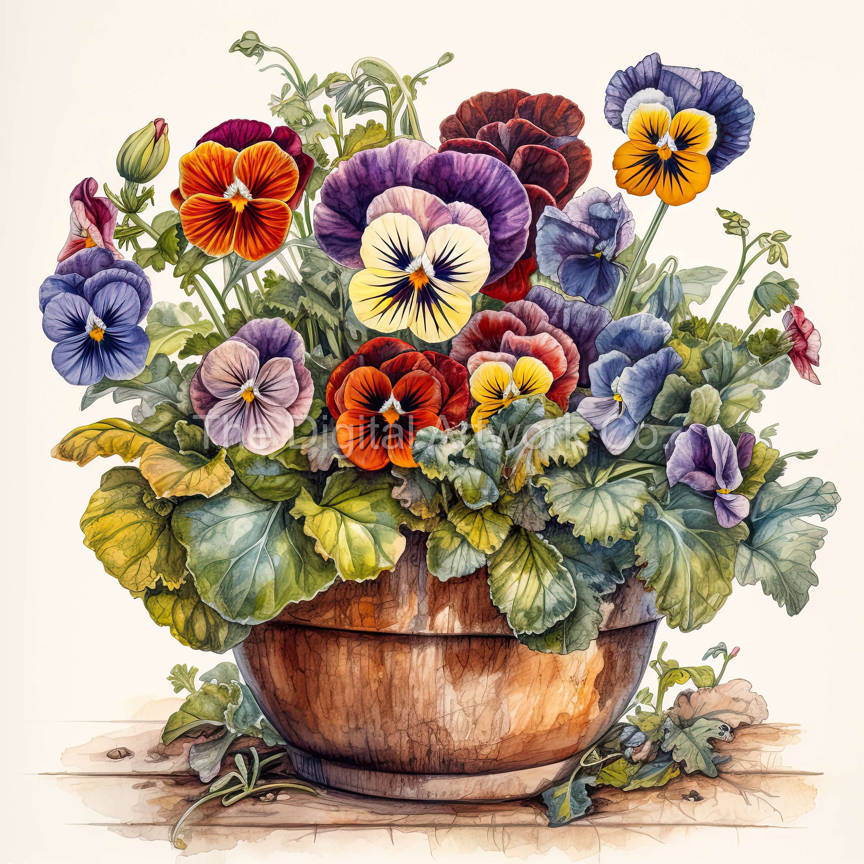 12 High Quality Designs of Gorgeous Pot Pansies 12 Jpgs - Etsy