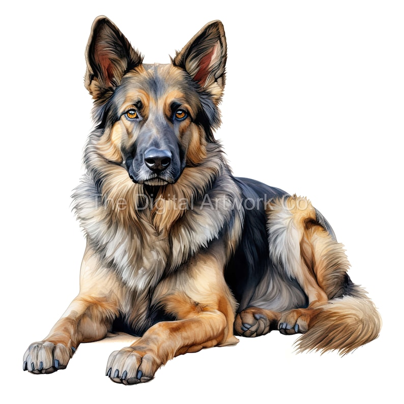 Alsatian Dog Watercolor Clipart, German Shepherd Designs (digital ...
