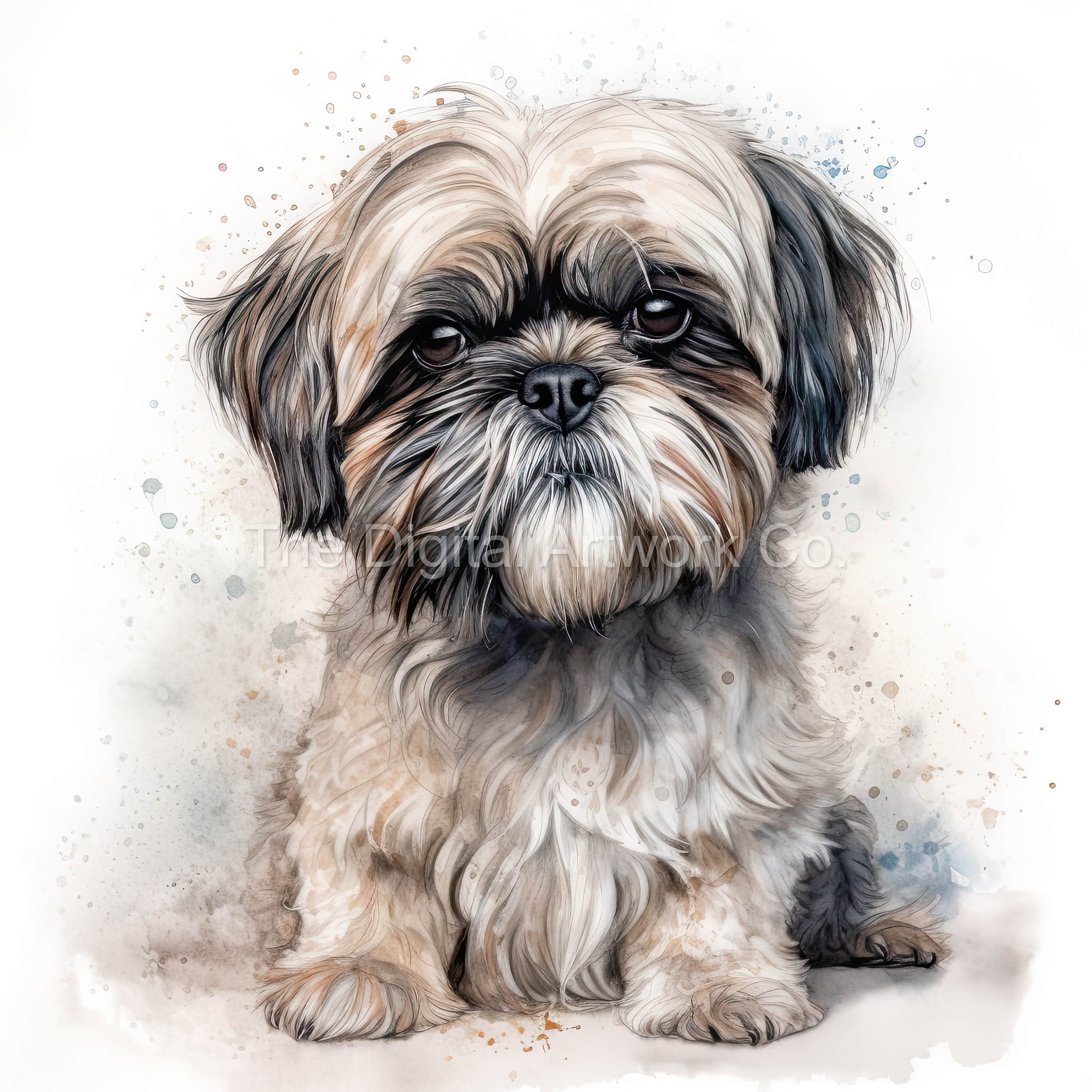 12 High Quality Designs of Shih Tzu Dog Breed Clip Art 12 Jpgs - Etsy