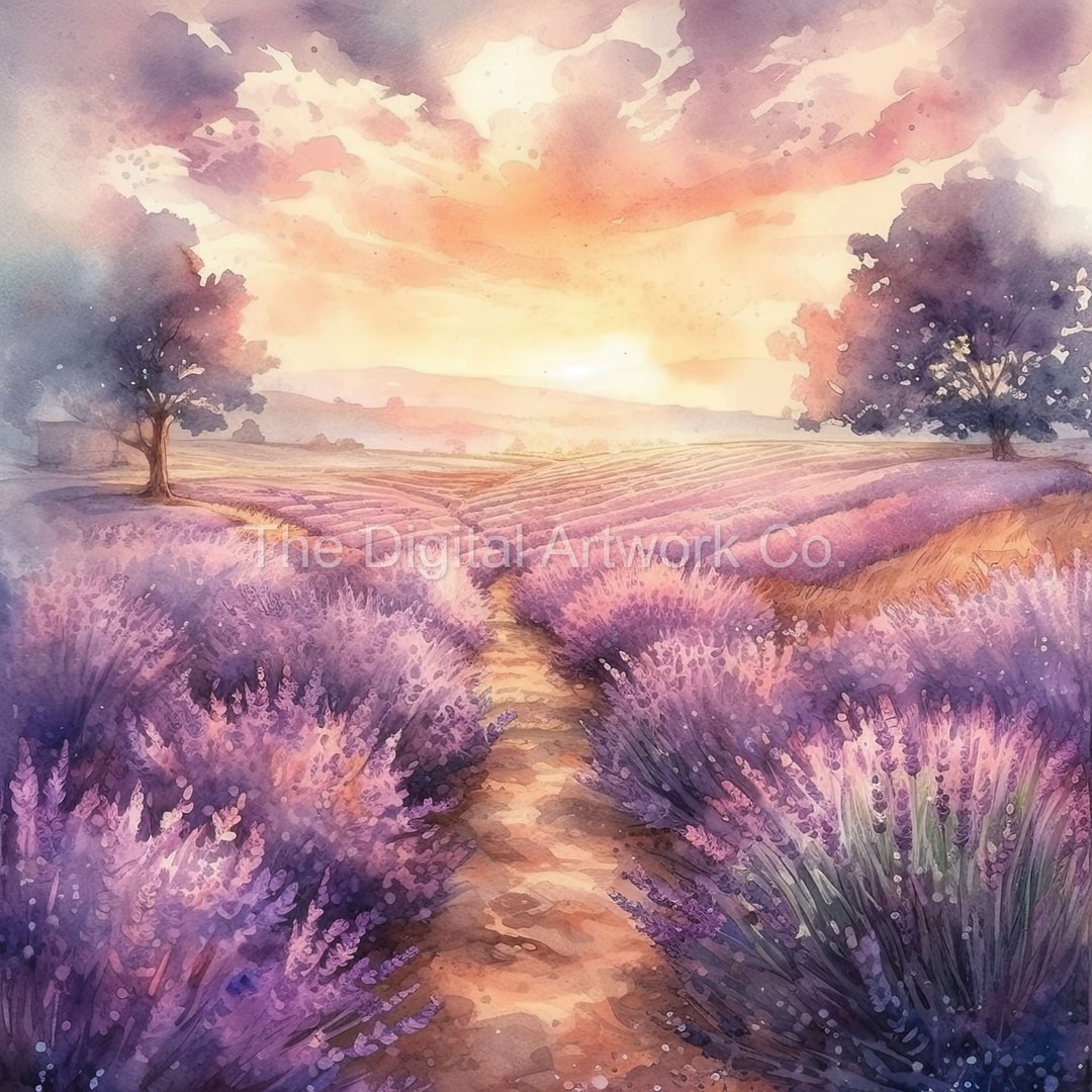 12 Lavender Meadows Backgrounds High Quality Jpgs Digital - Etsy UK
